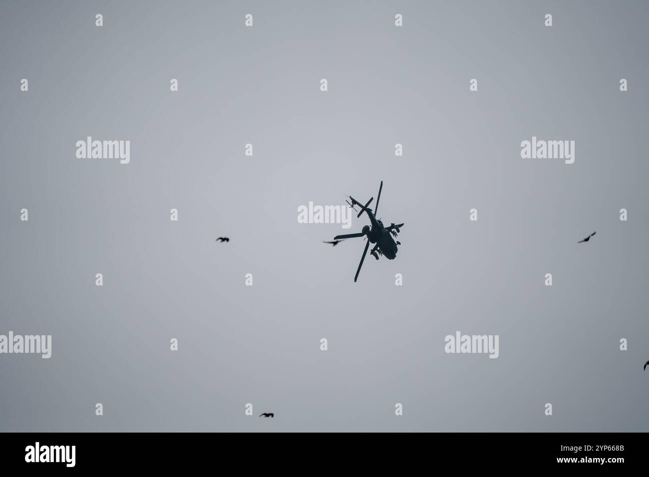 British army Boeing Apache Attack helicopter AH2 AH64E AH-64E Army Air ...