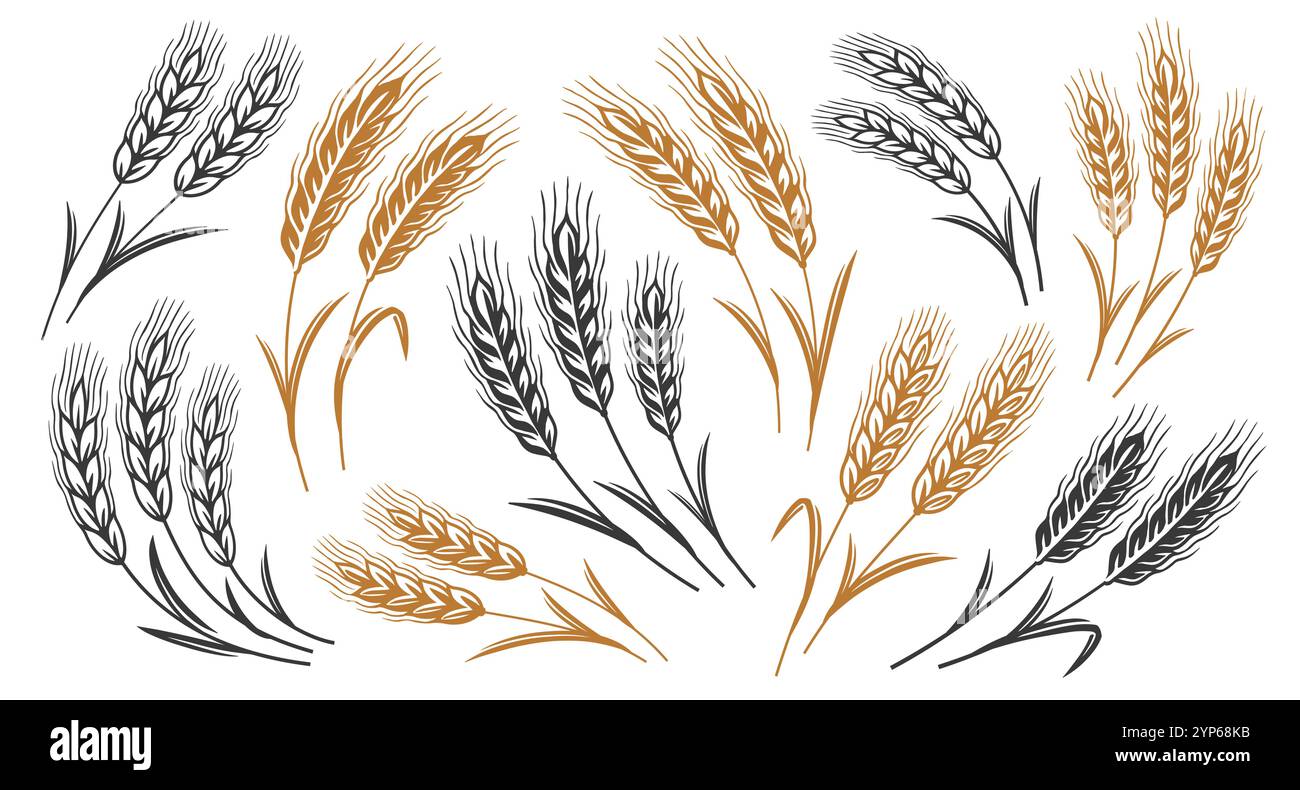Ears of wheat grain icons set. Organic farm food. Bread, flour, baking ...