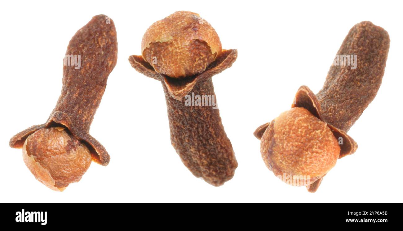 Fragrant clove buds isolated on white, set Stock Photo - Alamy