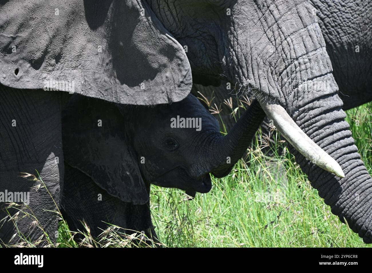 nature in the most beautiful way, this are some of the pictures taken ...