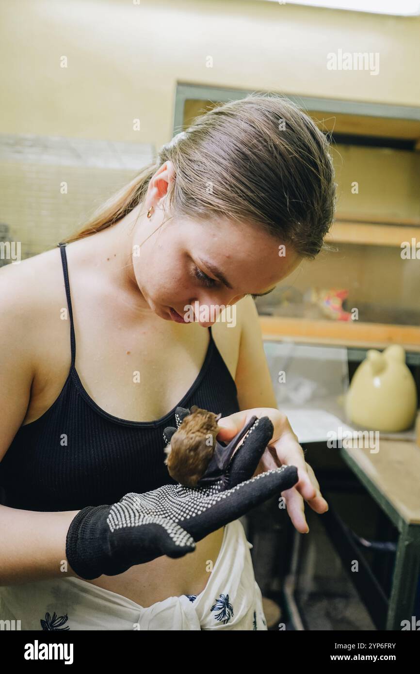 A woman in a glove shows off a predatory bat indoors. A wonderful ...