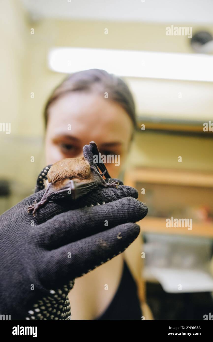 Fascinating nocturnal predator hi-res stock photography and images - Alamy