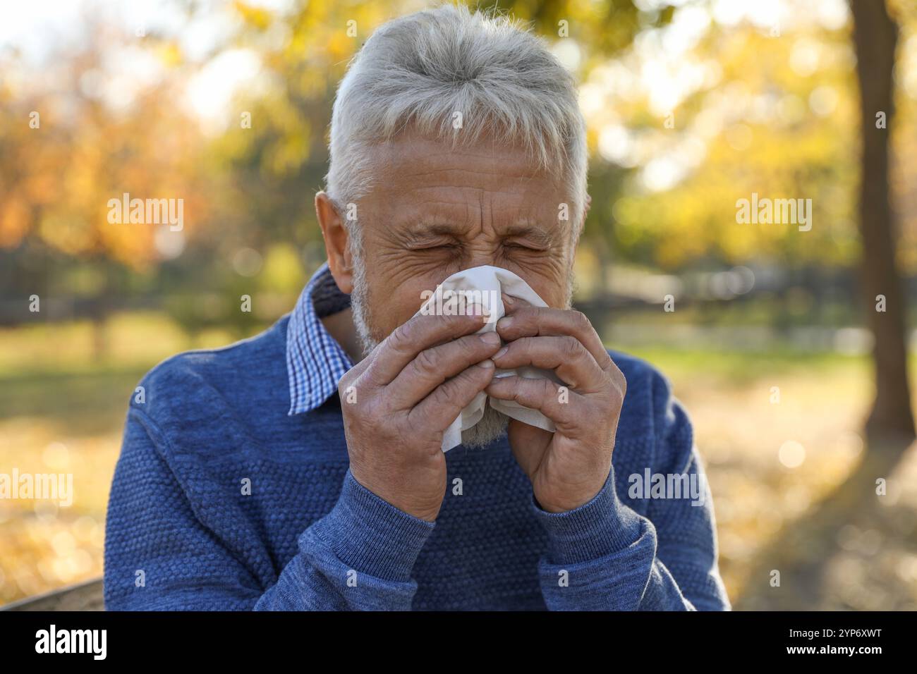 Senior man with tissue blowing runny nose in park Stock Photo - Alamy