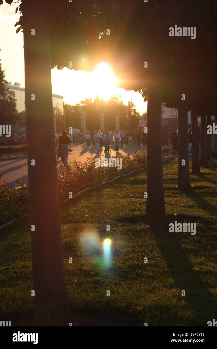 A beautiful sunset glow can be seen behind the silhouette of trees in ...