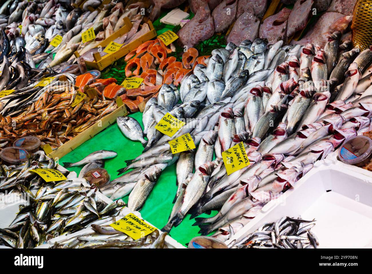 Fresh fish at seafood market in Istanbul. On the price tags names of ...