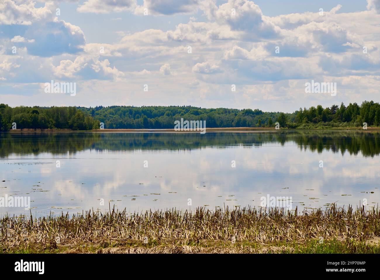 The beautiful scenery of a serene lake reflecting under a vivid azure ...