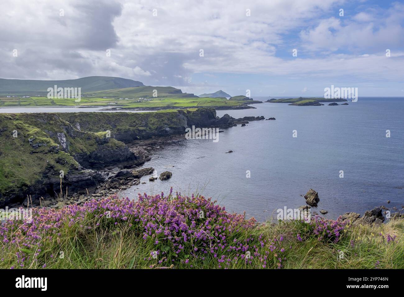 Landscape at the Skellig Ring, on the horizon the Skellig Islands, Ring ...