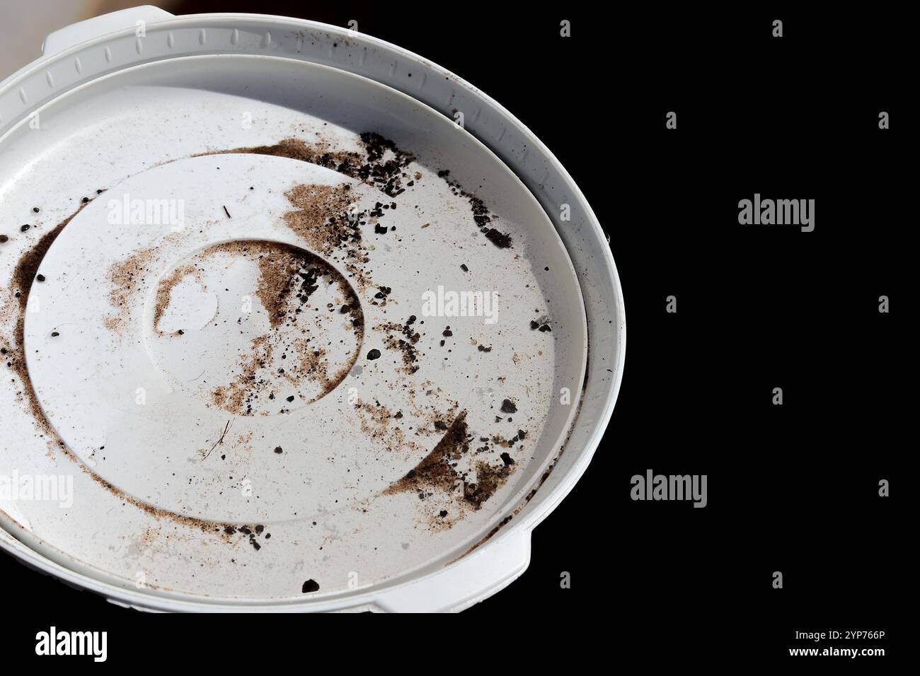 The location could be a potential focus for larvae of the Aedes aegypti ...