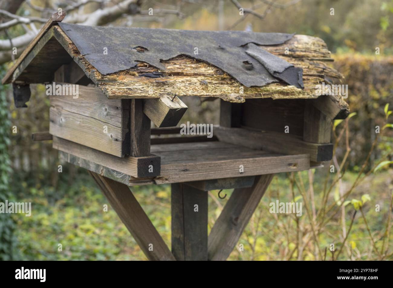 Decaying bird feeder showing signs of weathering and disrepair ...