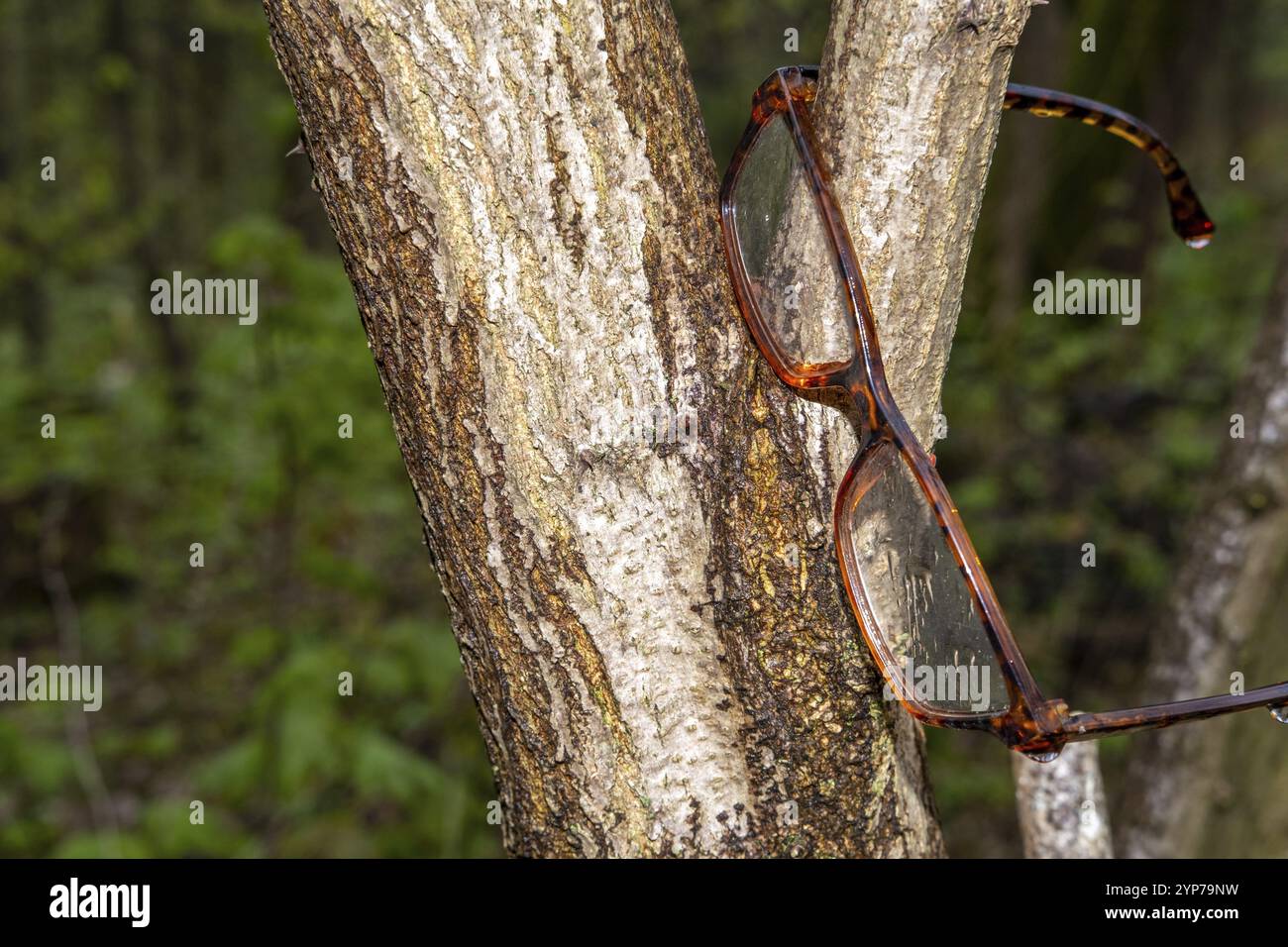 Hanging sunglasses hi-res stock photography and images - Alamy