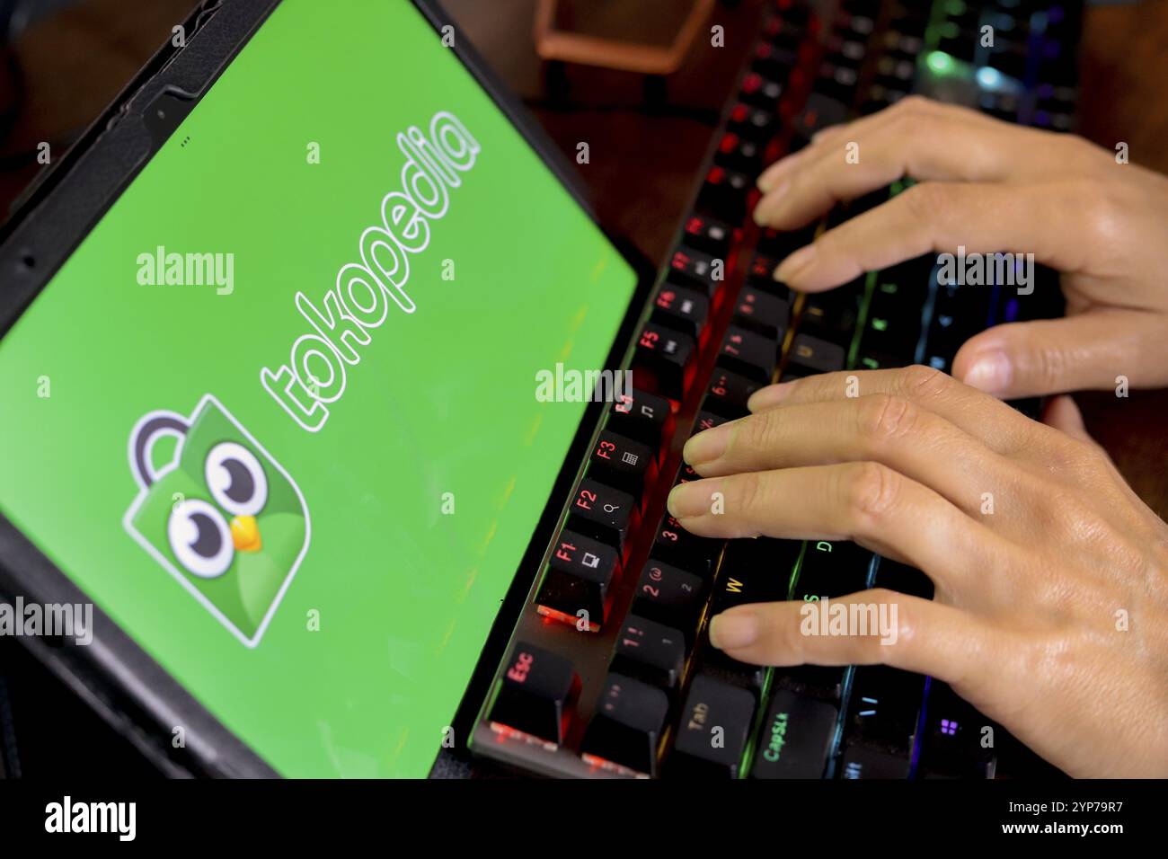 In this photo illustration, a person typing and next to the Tokopedia ...