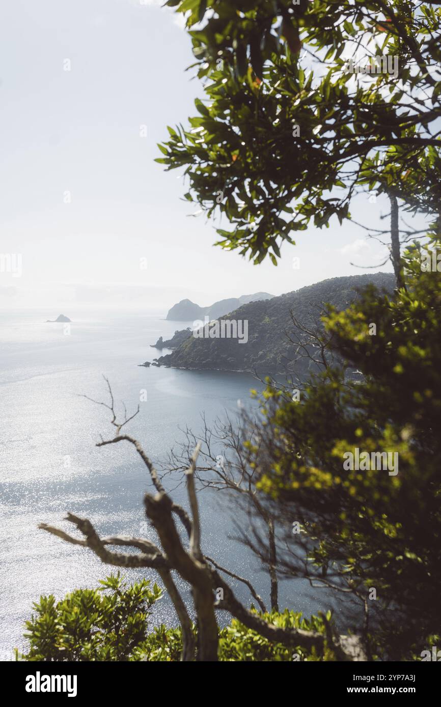 Panorama of a coastline with rocky outcrops and lush greenery ...