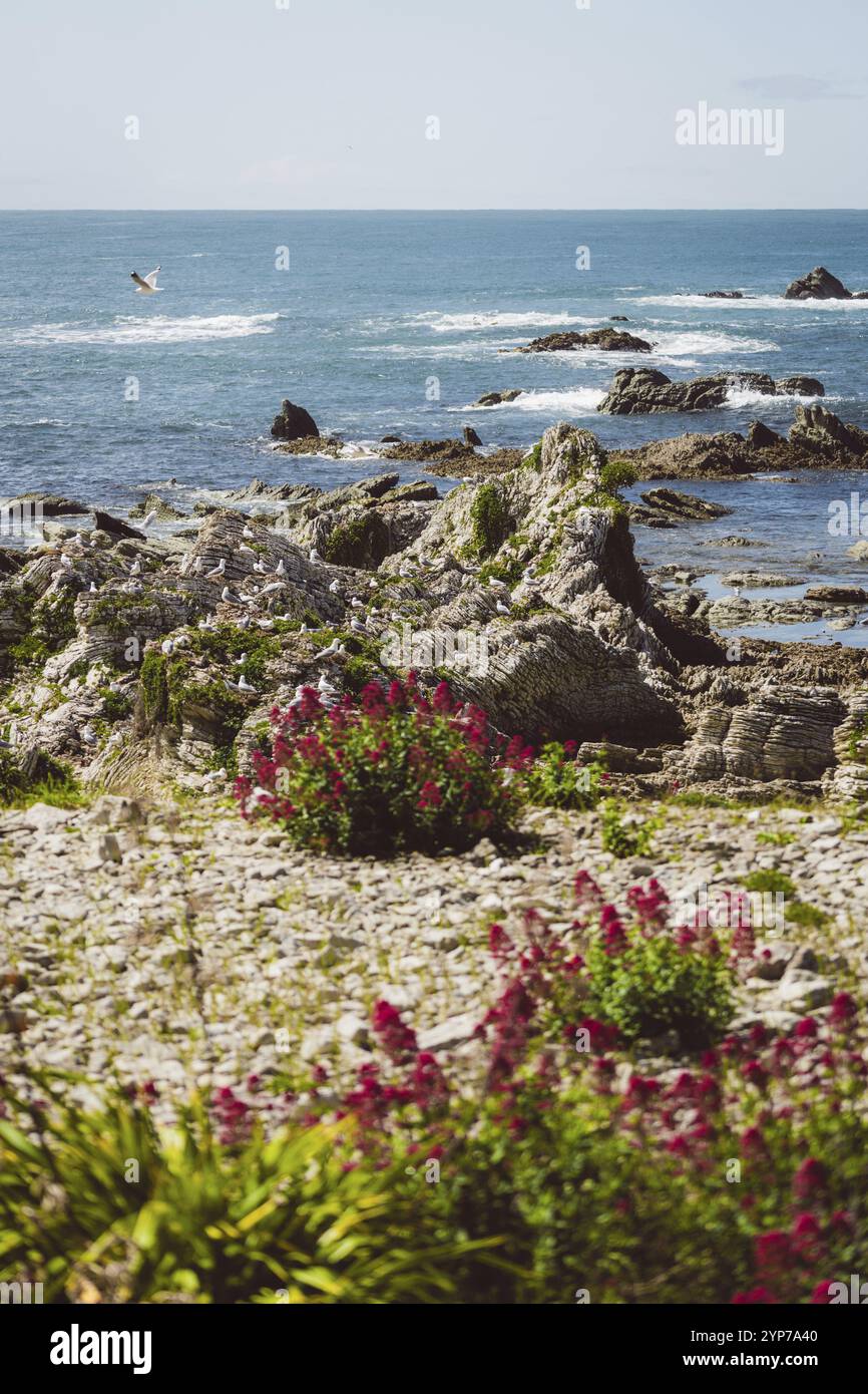 Vibrant coastal landscape with colourful flowers and rocks by the sea ...