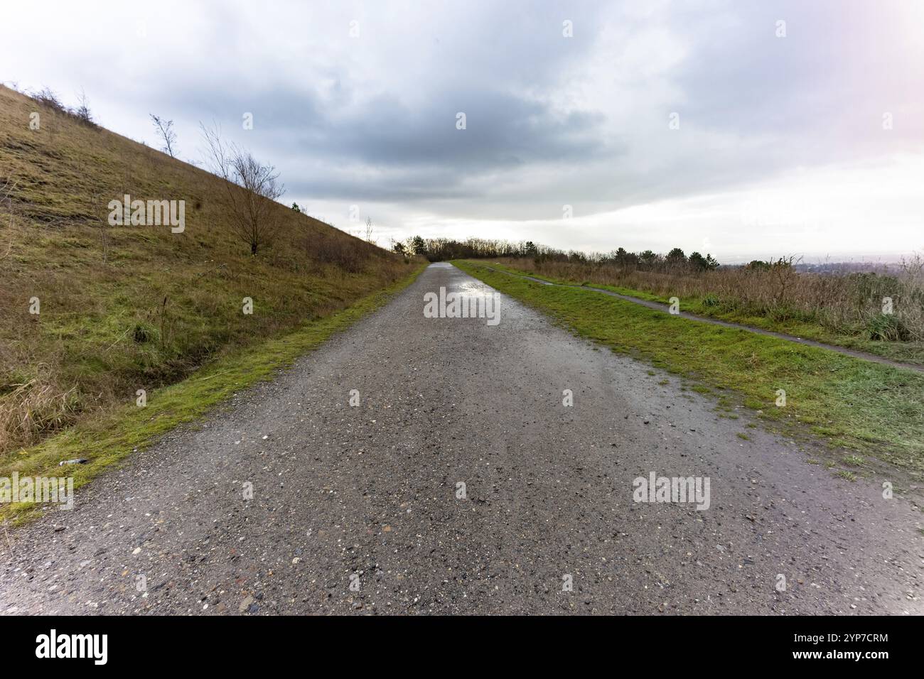 A straight path bordered by grass under an overcast sky, presenting a ...