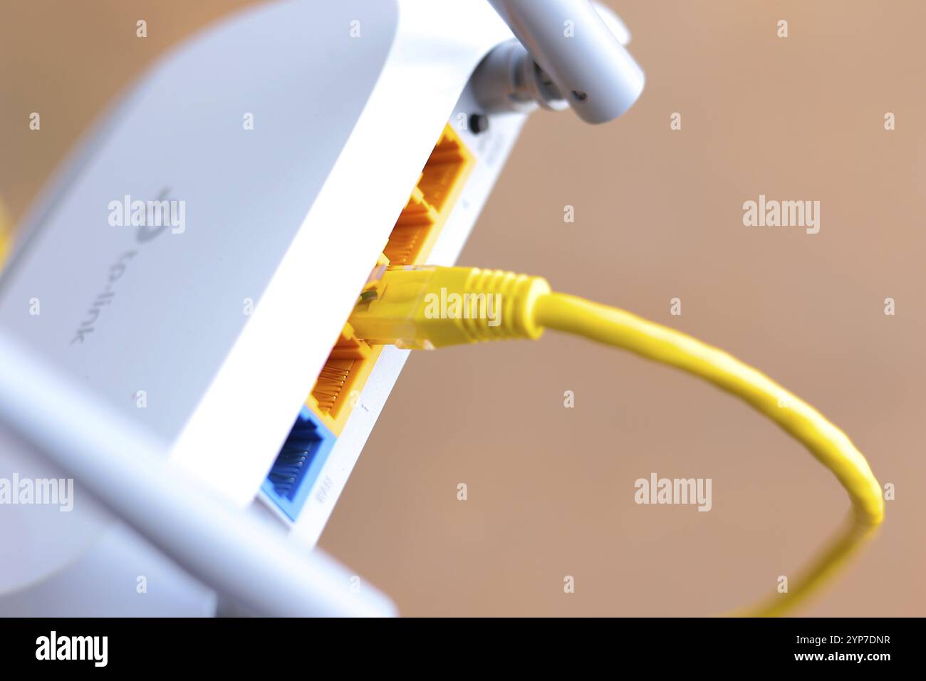 In this photo illustration, yellow internet network cable connected to ...