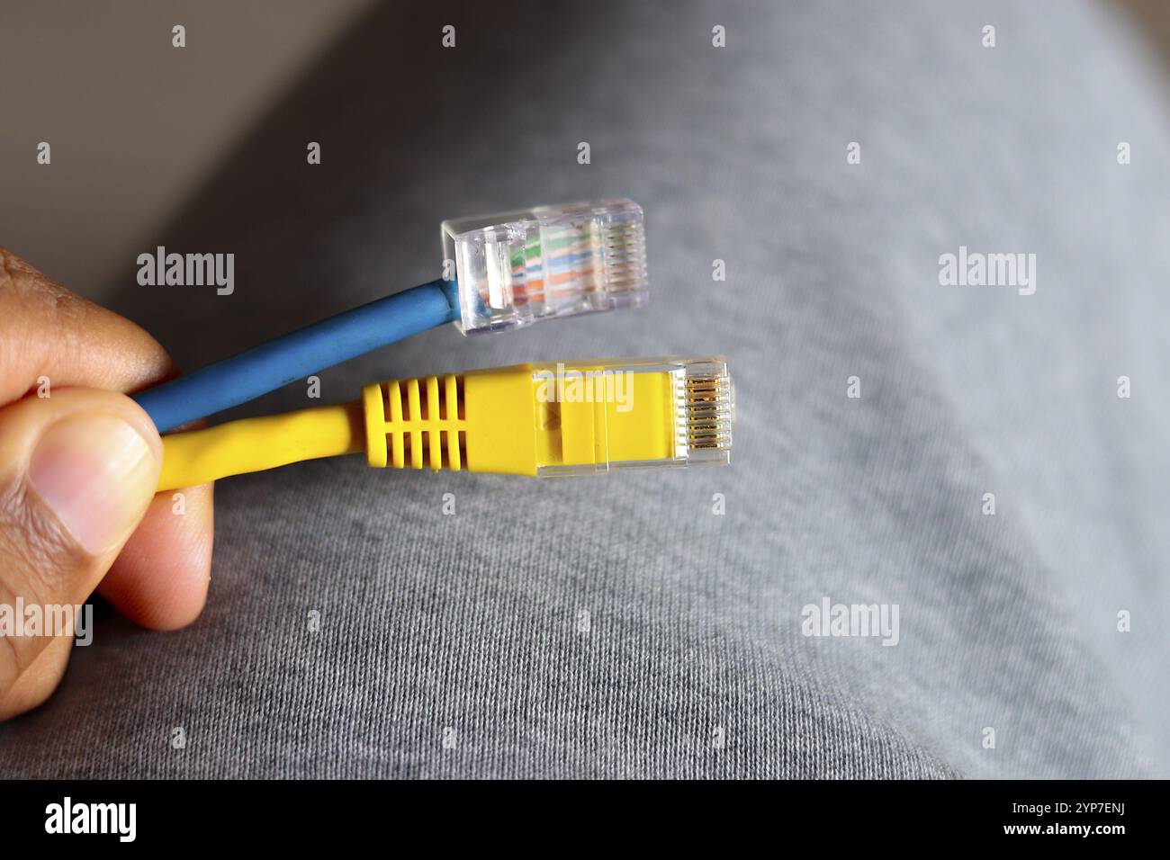 In this photo illustration, two internet network cables, one blue and ...