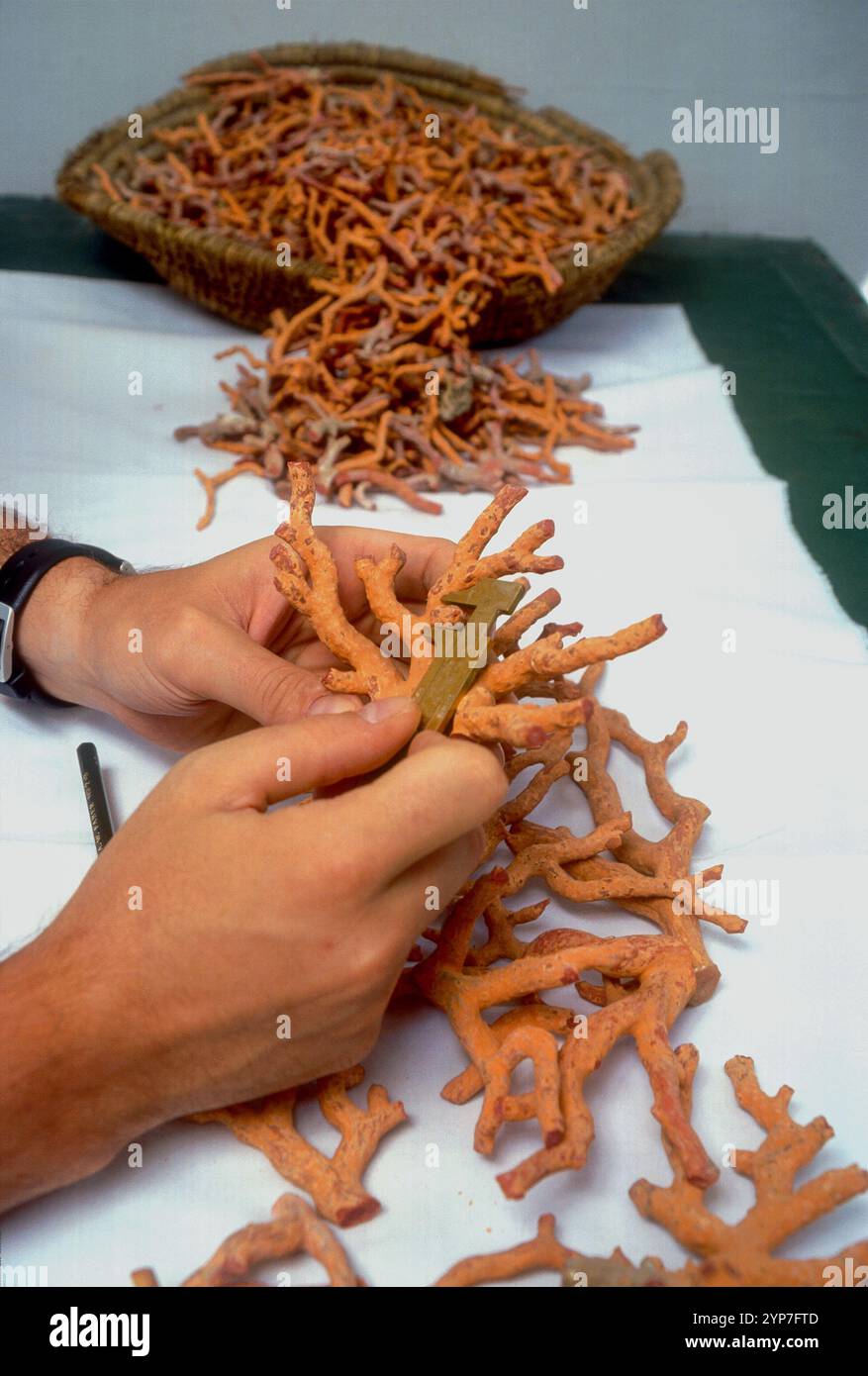 Coral processing techniques hi-res stock photography and images - Alamy