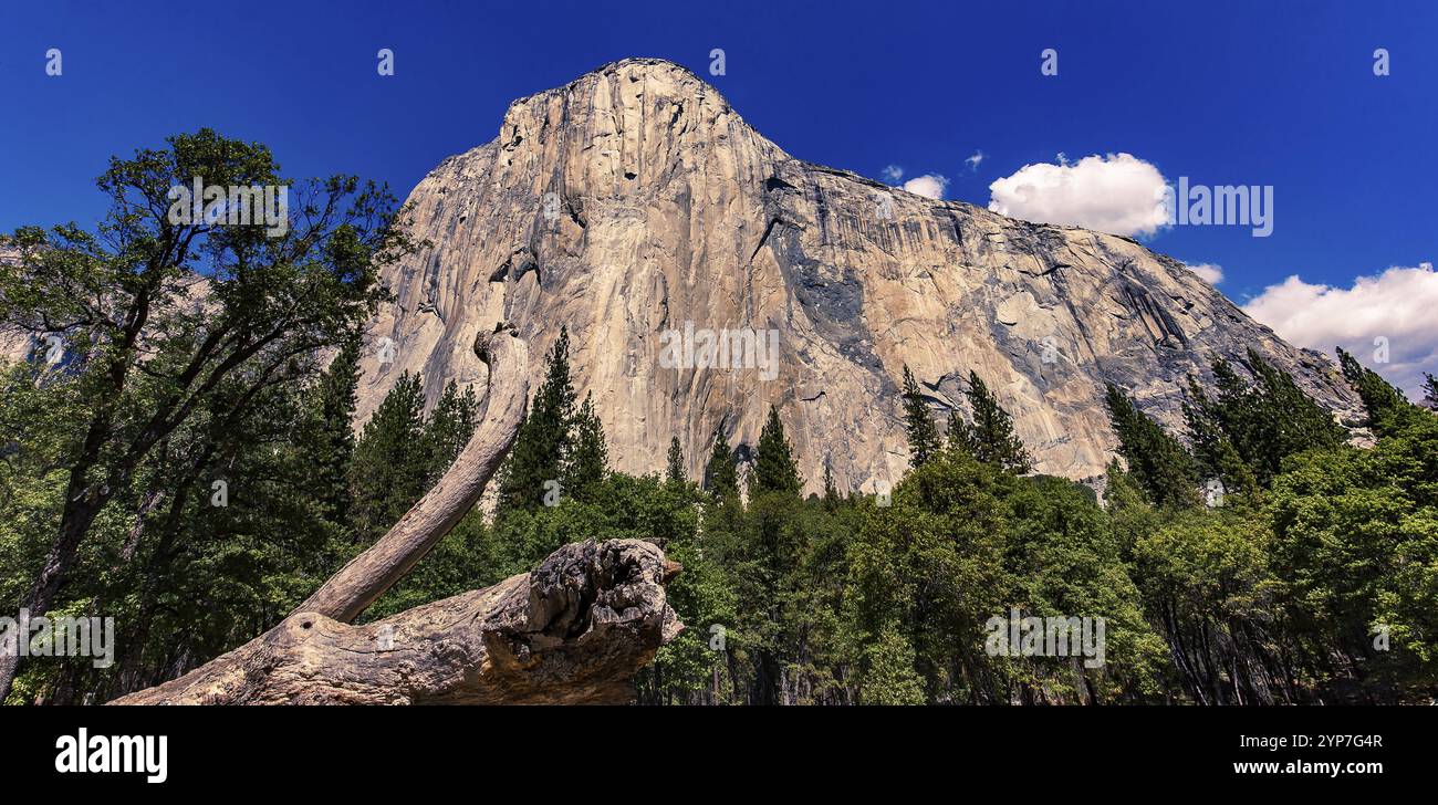 World famous rock climbing wall of El Capitan, Yosemite national park ...