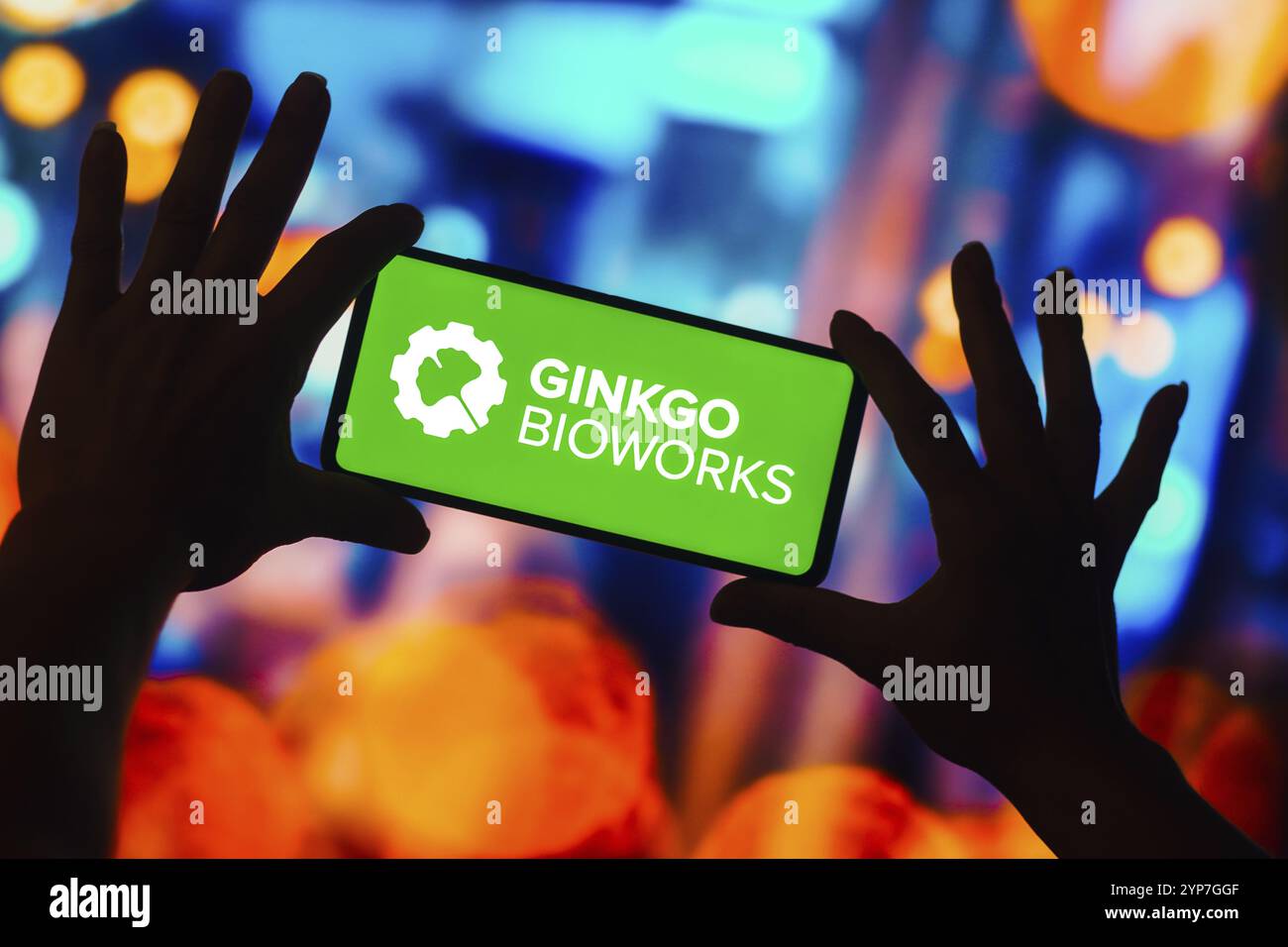 In this photo illustration, the Ginkgo Bioworks logo is displayed on a ...