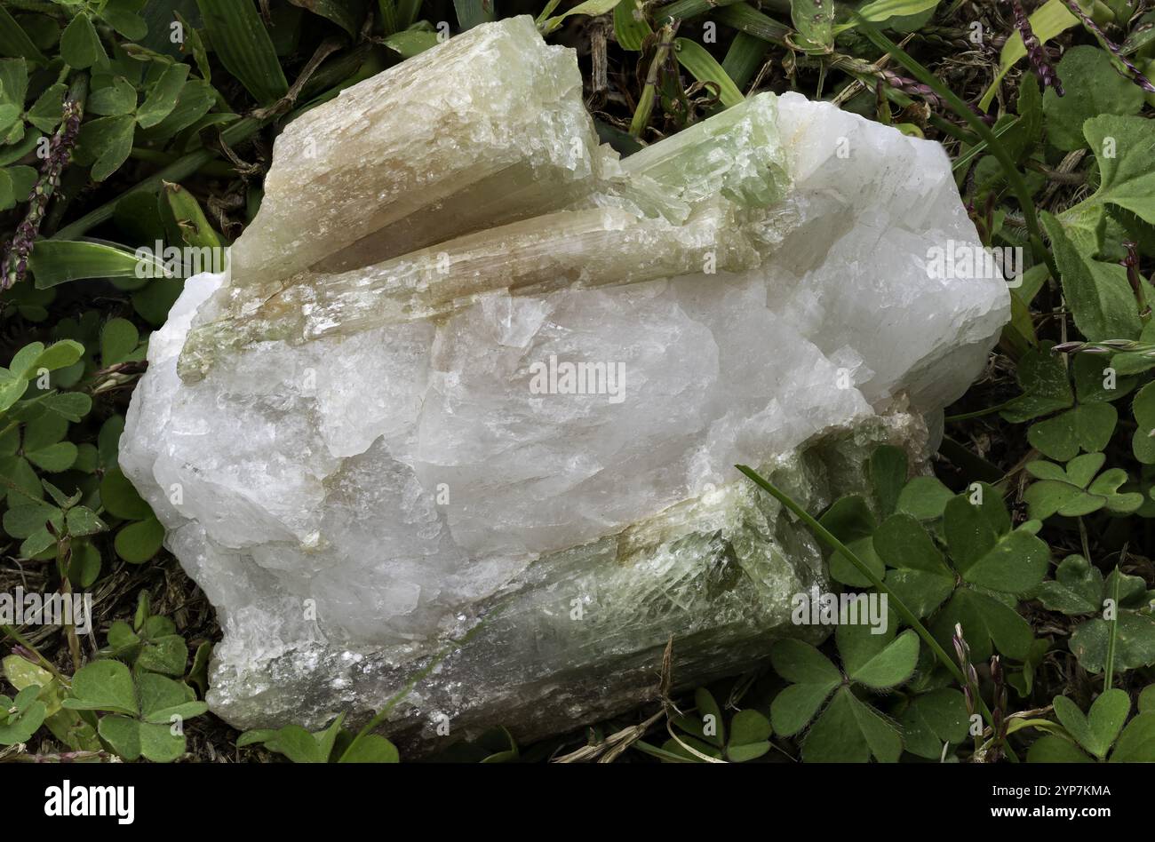 Prismatic tourmaline crystal embedded in a quartz matrix, showcased in ...