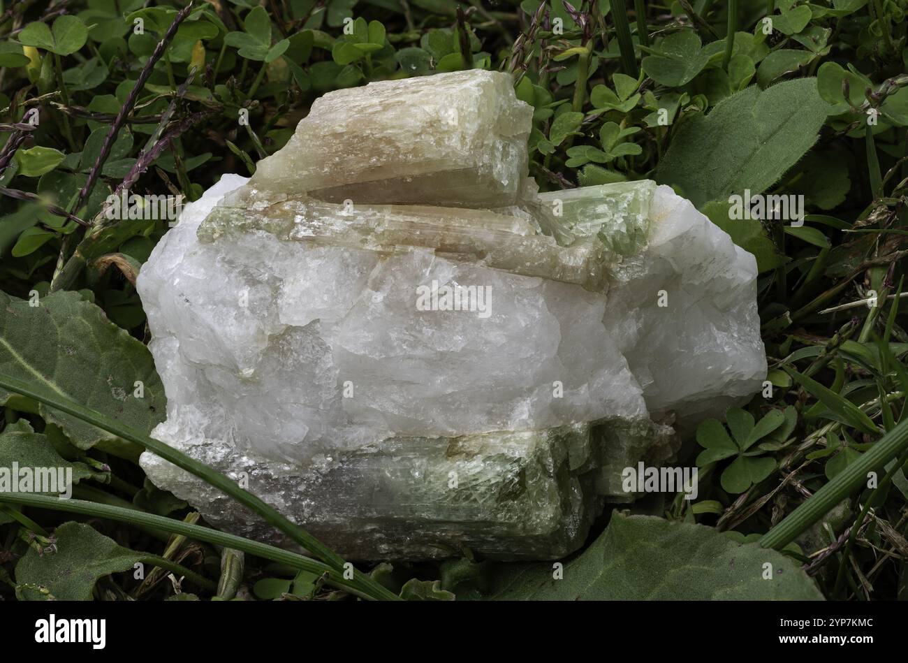 Prismatic tourmaline crystal embedded in a quartz matrix, showcased in ...