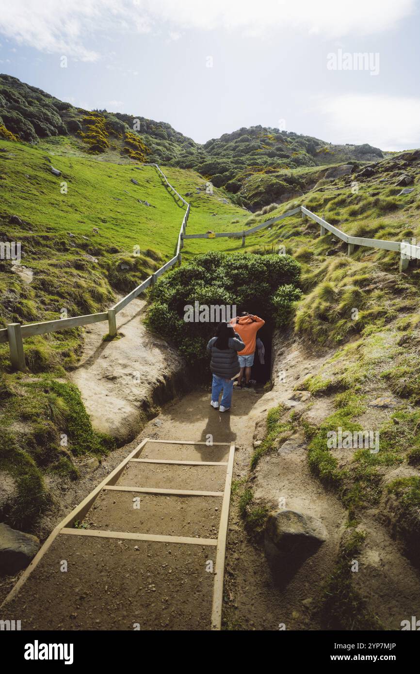 People enter a cave entrance in a green hilly landscape, Dunedin, New ...