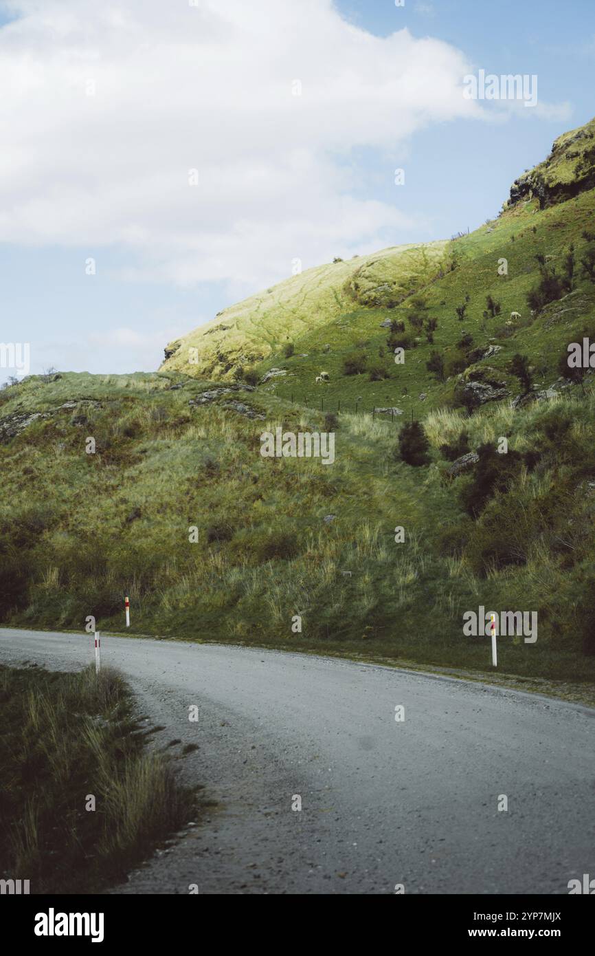 Deserted country road winds through green hills under a blue sky, Cattle Flat, Wanaka, New ...