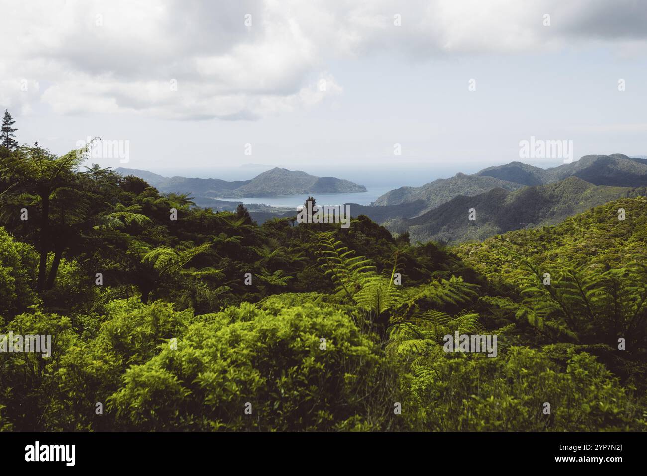 Panorama of a hilly green landscape with a view of the sea and ...