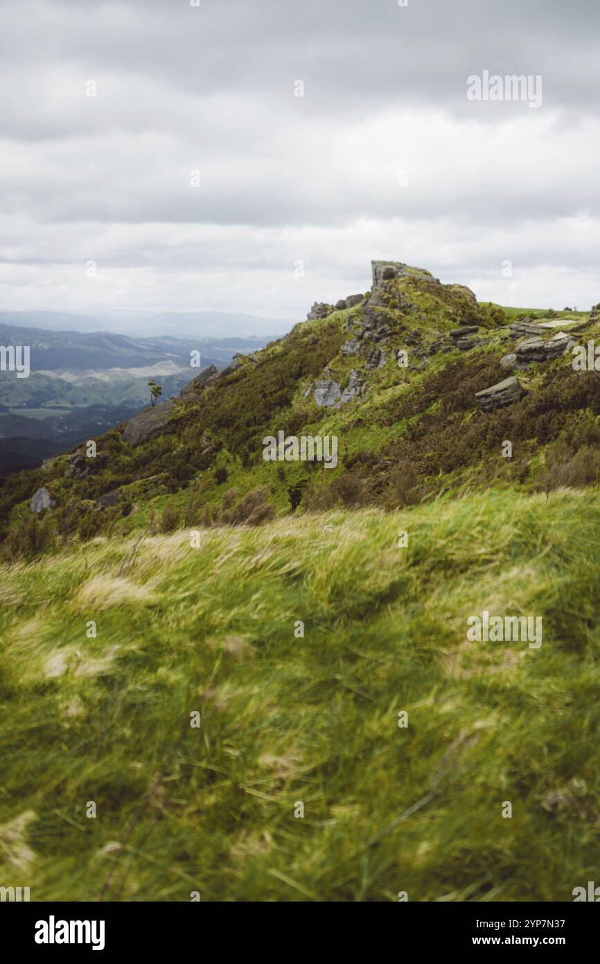 Landscape with grassy hills and rocks under a cloudy sky, Bells Rock ...