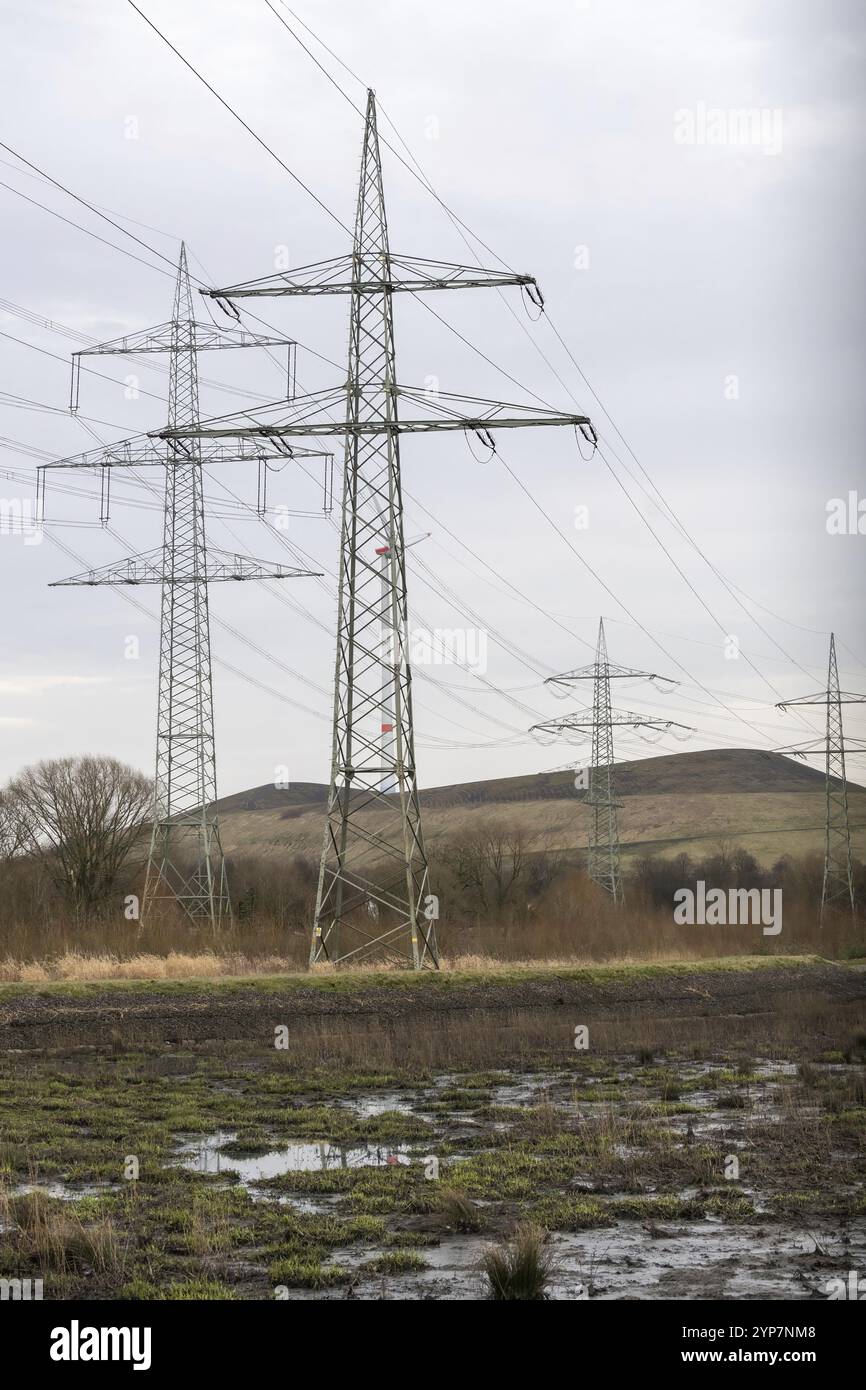 High-voltage pylons in german industrial landscape Stock Photo - Alamy