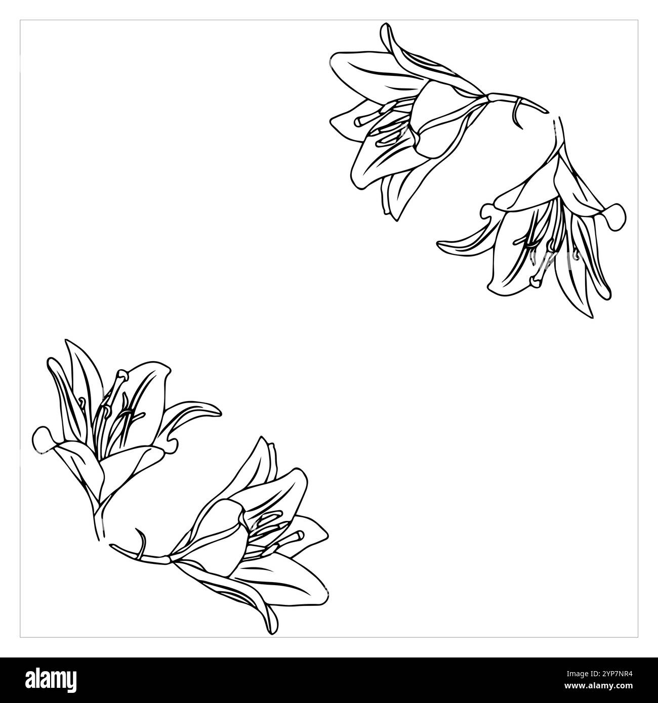 Engraving flower frame Cut Out Stock Images & Pictures - Alamy