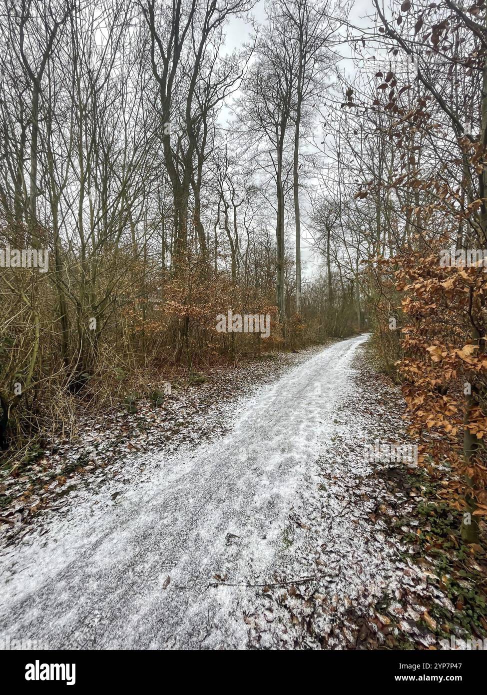 Icy path in the landscape in winter Stock Photo - Alamy