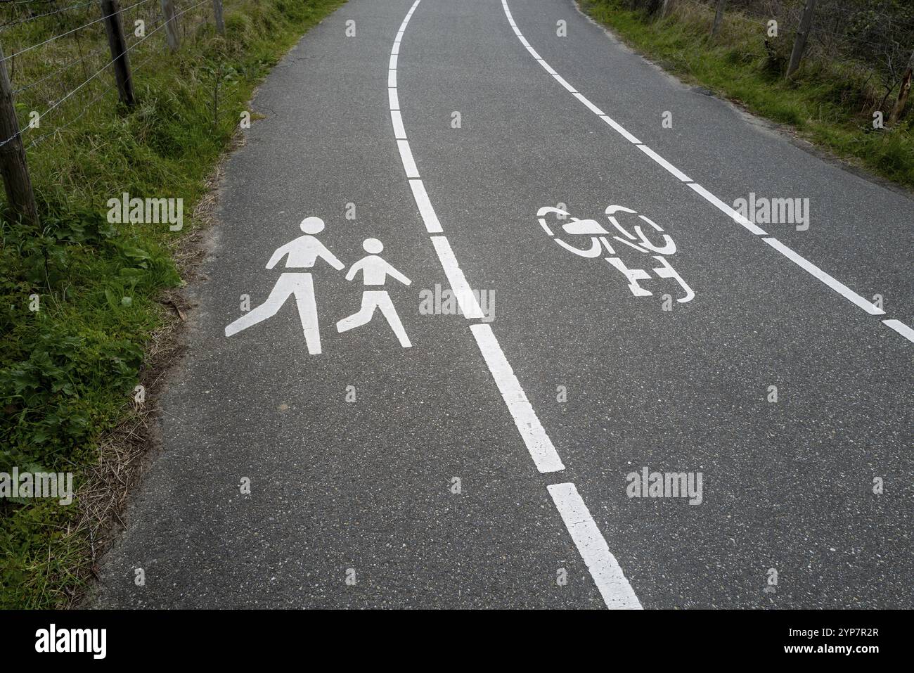 Footpath and cycle path in the dutch dunes Stock Photo - Alamy