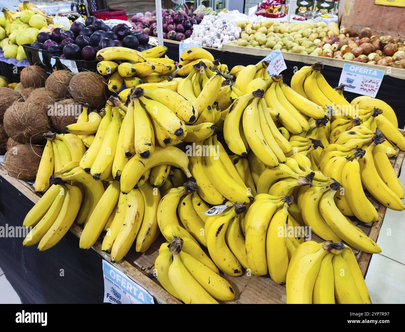 The PIB (Gross Domestic Product) of Brazil should grow mainly due to ...