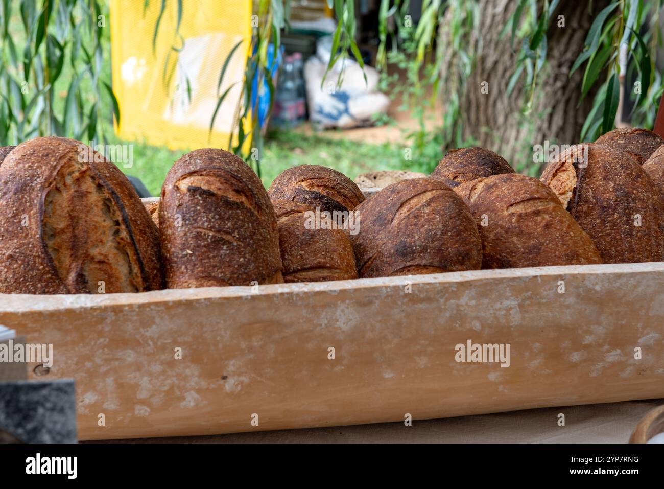 three sourdough whole grain loaf of bread in the wooden trough on ...