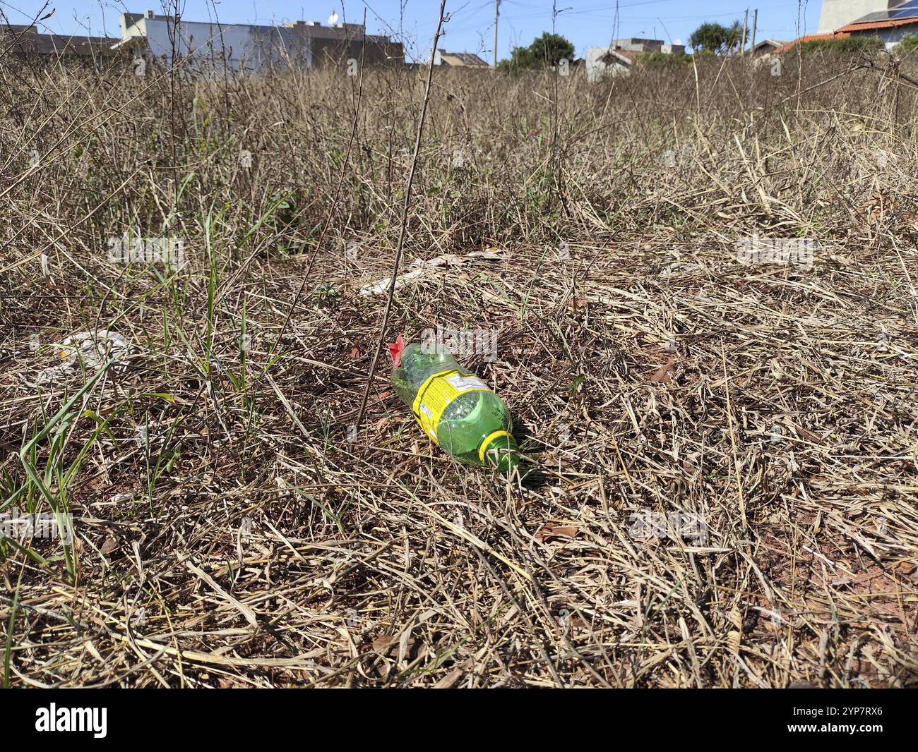 A Suitable Breeding Ground For The Aedes Aegypti Mosquito Which