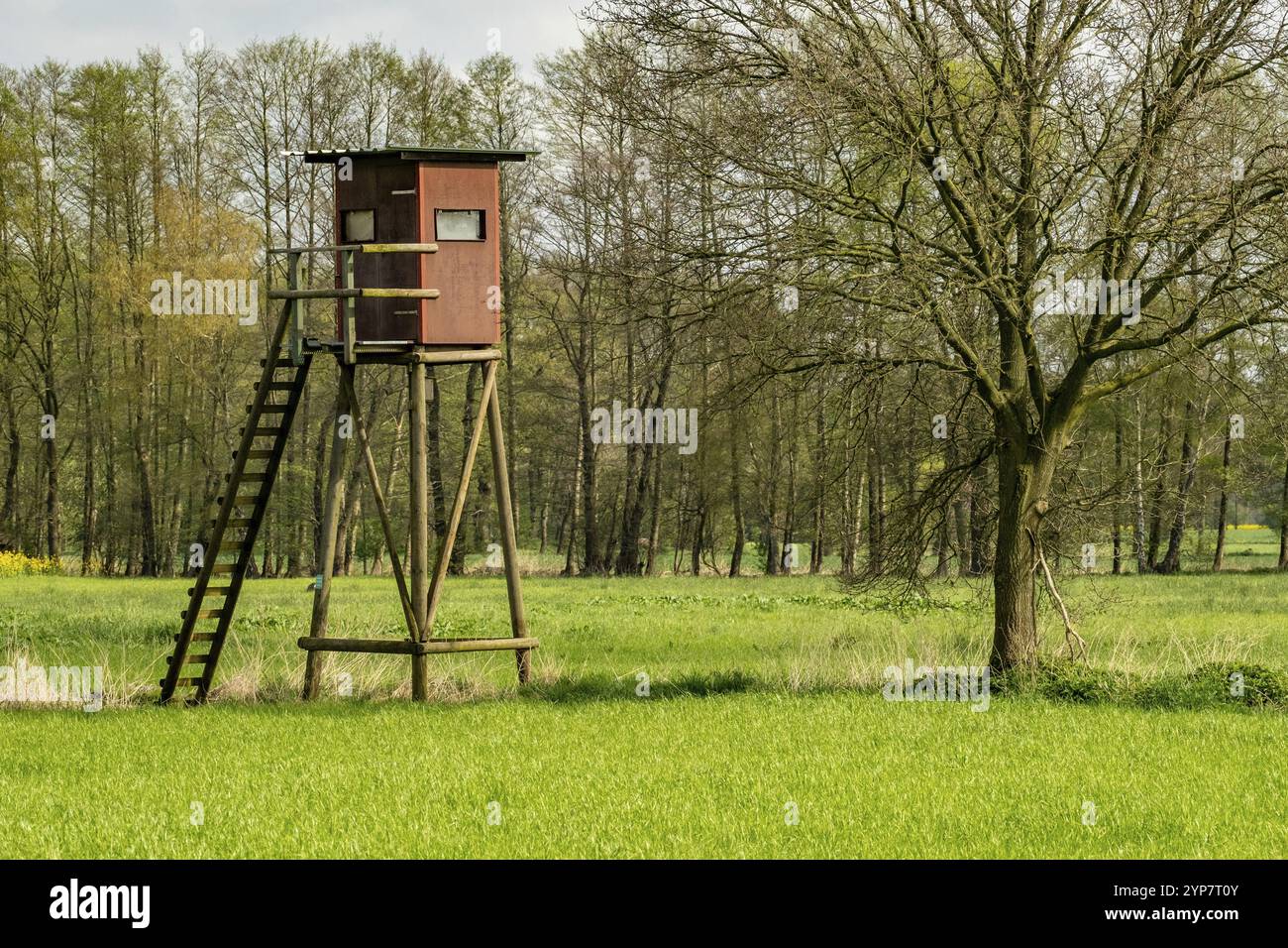 Stand wood hi-res stock photography and images - Alamy