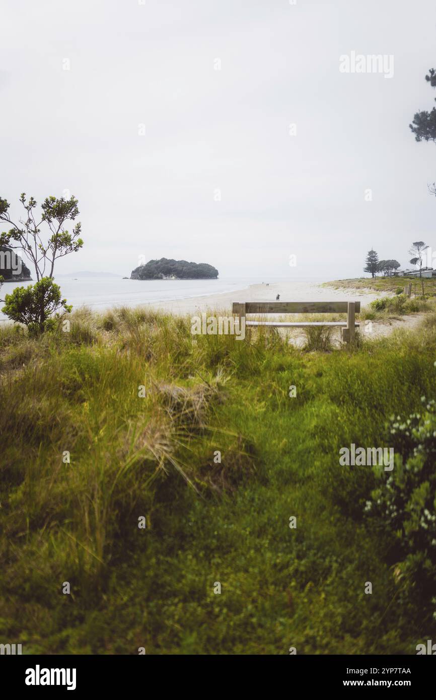 A lookout point with bench offers views of the beach and sea ...