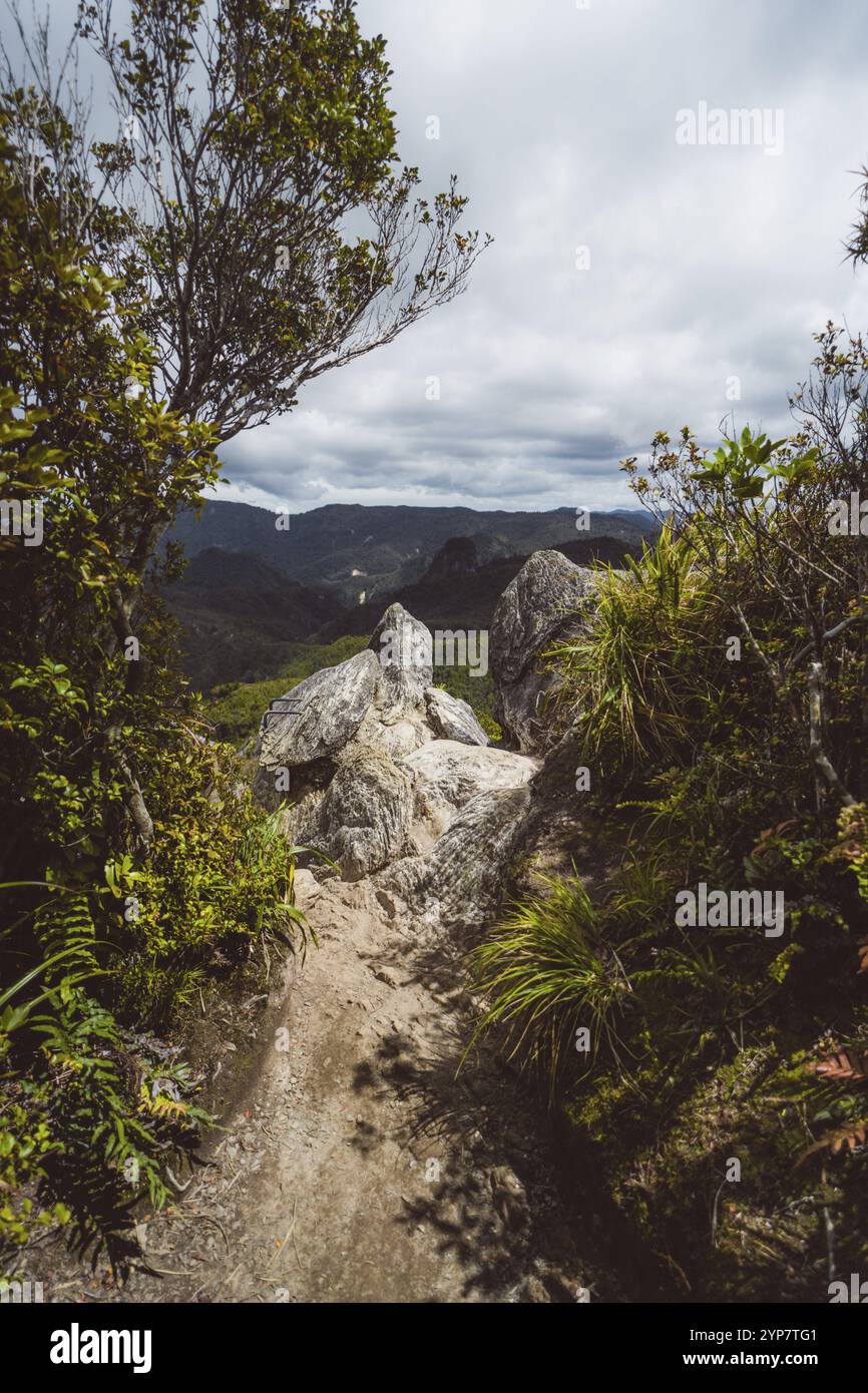 Narrow path through dense vegetation with rocks and cloudy skies ...