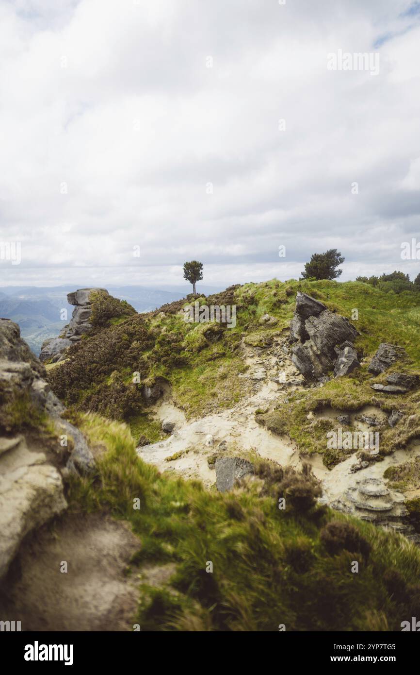 A rocky landscape with a lone tree under a cloudy sky, Bells Rock ...