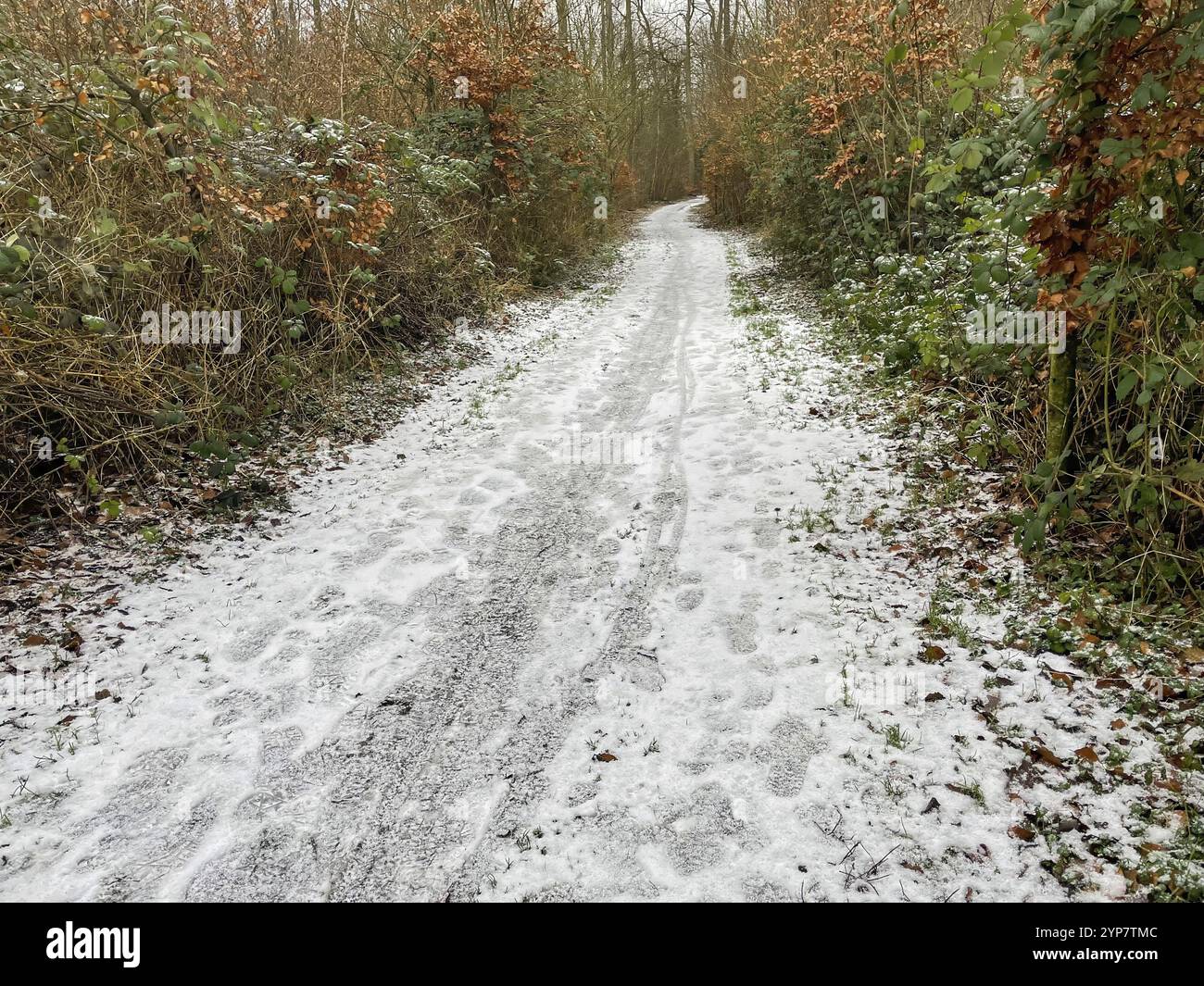 Icy path in the landscape in winter Stock Photo - Alamy