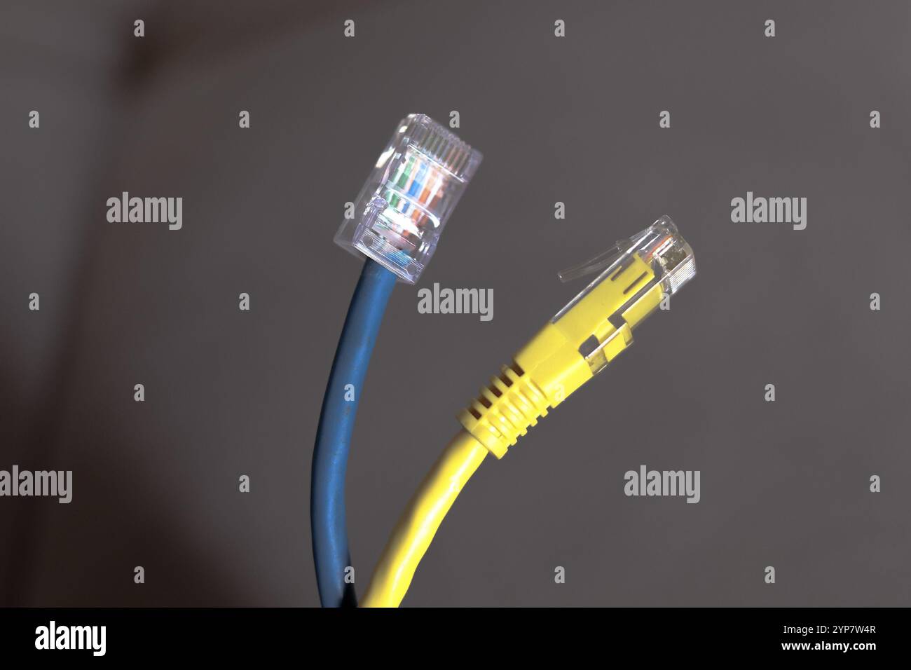 In this photo illustration, two internet network cables, one blue and ...