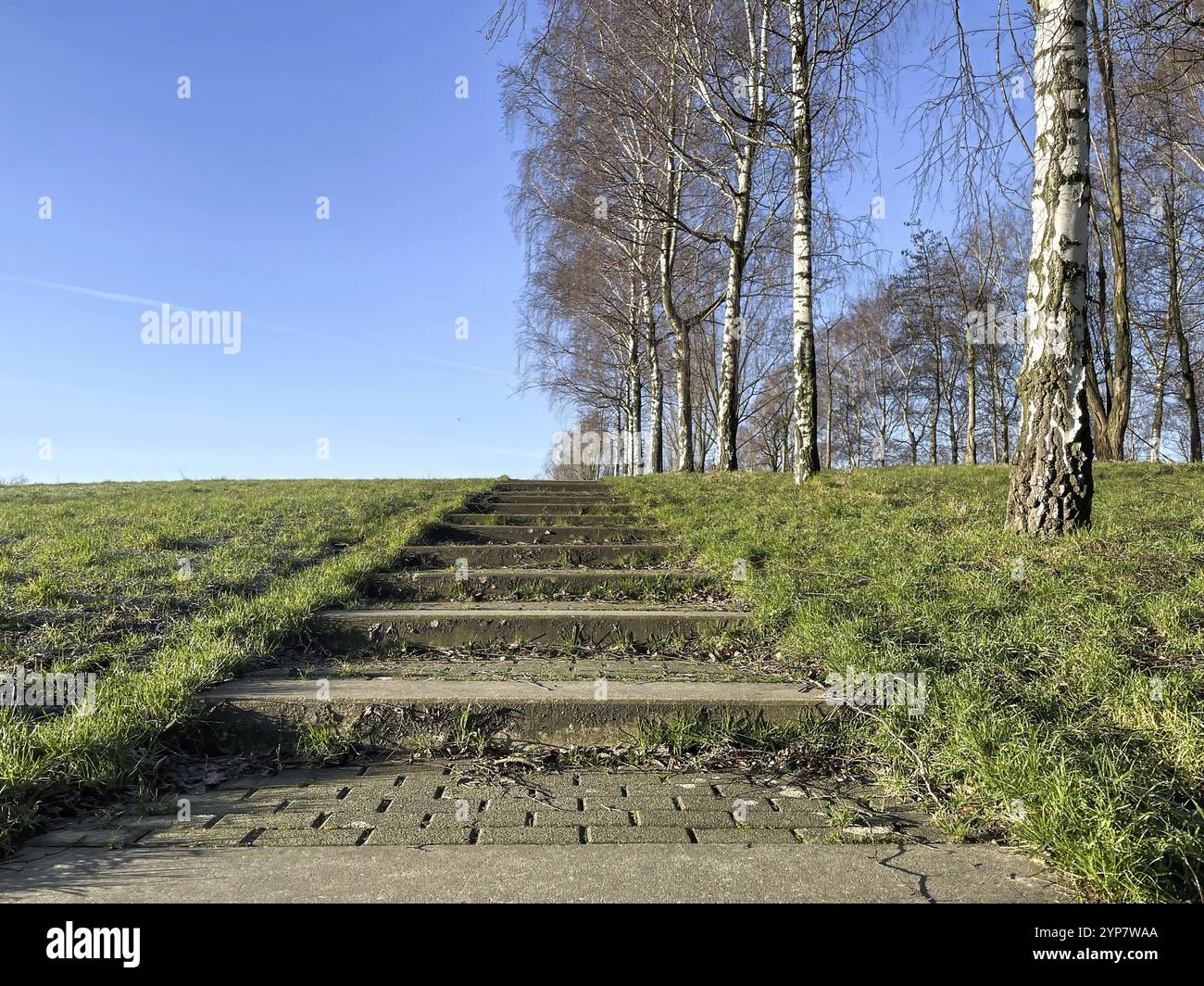 Panoramic meadow trees hi-res stock photography and images - Alamy