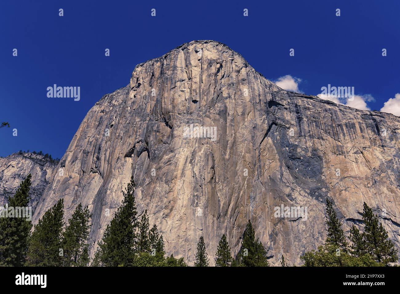World famous rock climbing wall of El Capitan, Yosemite national park ...