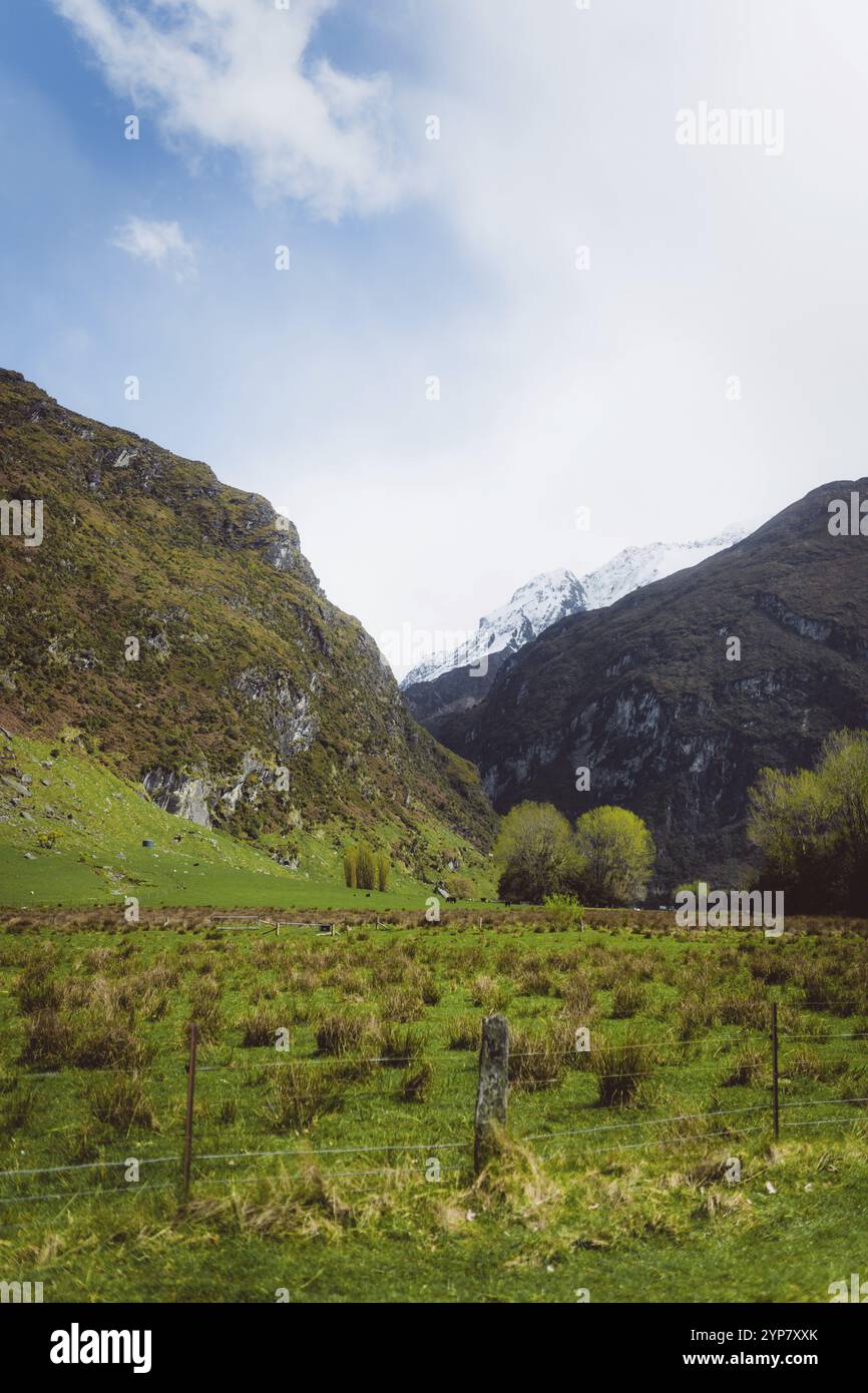Green meadow with mountains and trees under a blue sky, Cattle Flat ...