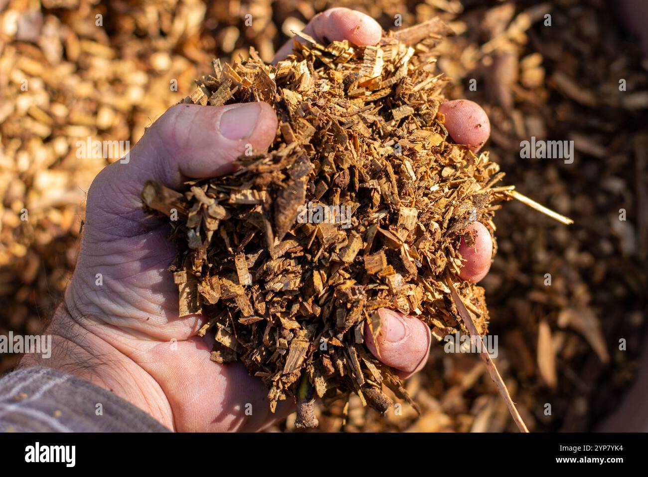 Prunings hi-res stock photography and images - Alamy