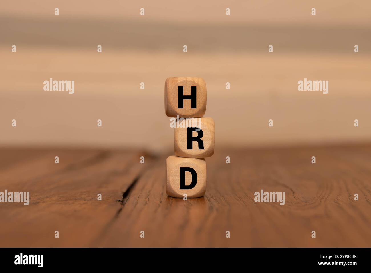 Word HRD made with wood building blocks on a gray background Stock ...