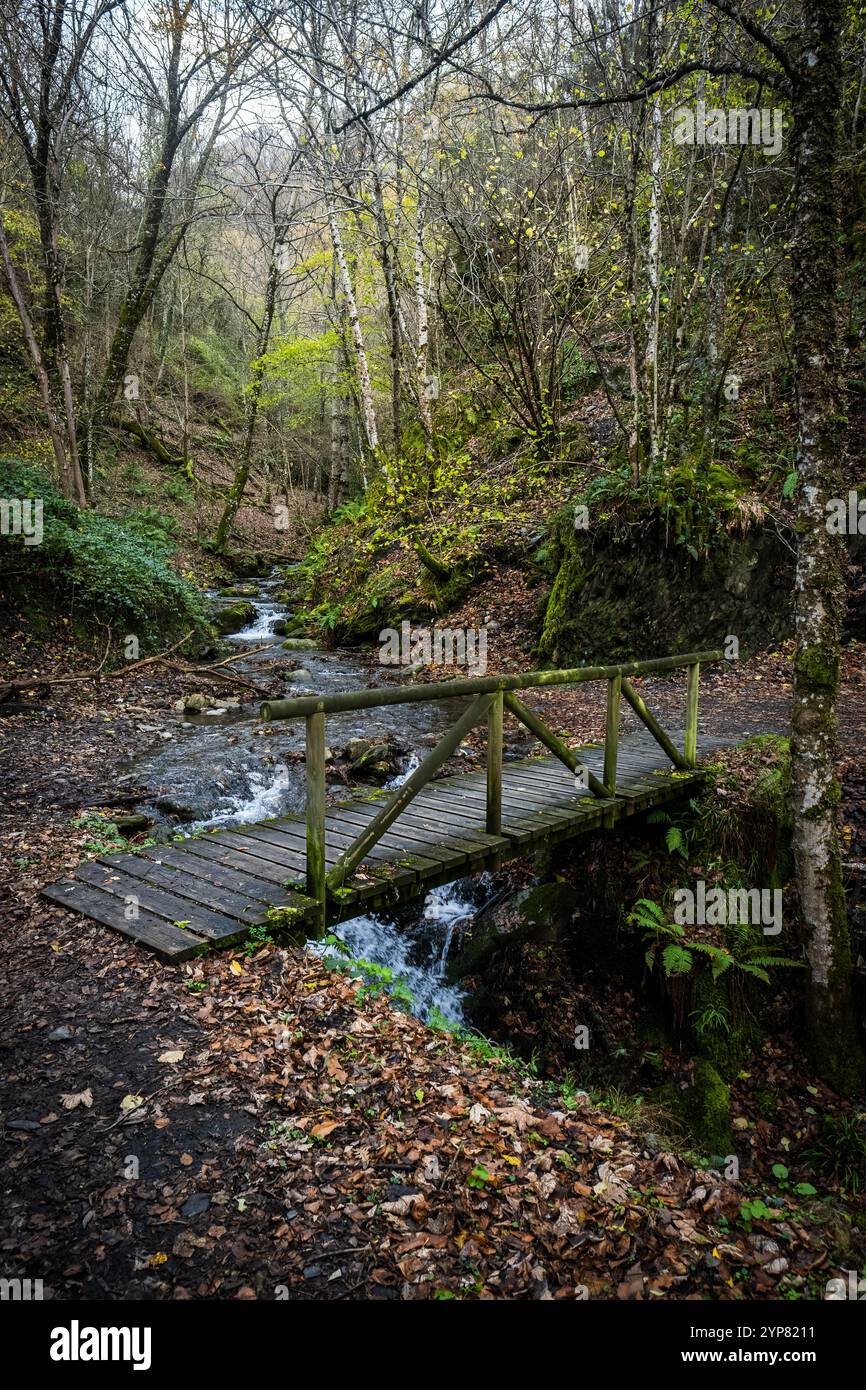 Fall autumn season bridge wood nature leaves creek hi-res stock ...