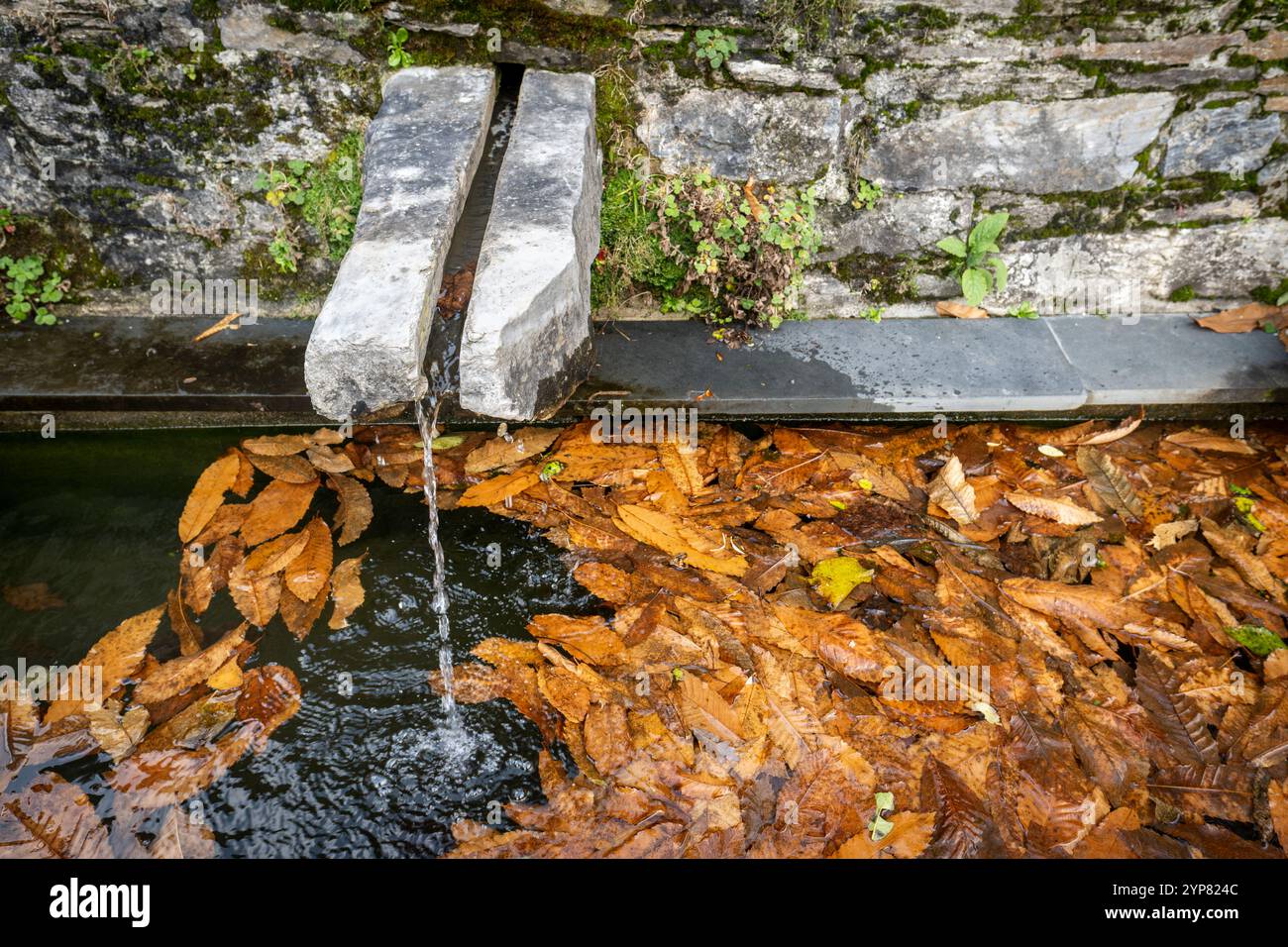 Natural water fountain flowing on hi-res stock photography and images ...