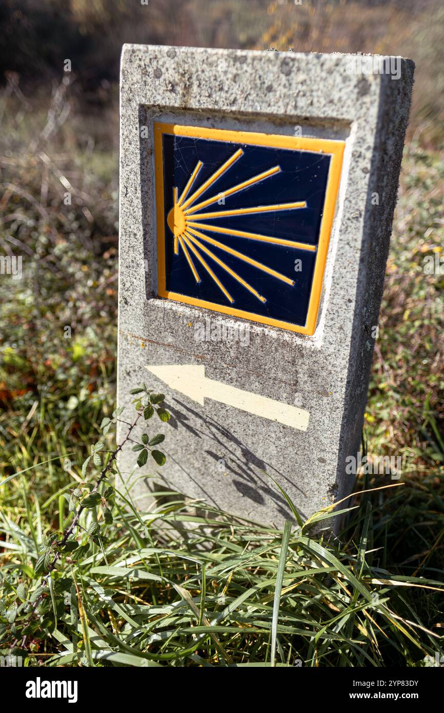 Camino de santiago sign indicating the way to compostela Stock Photo ...